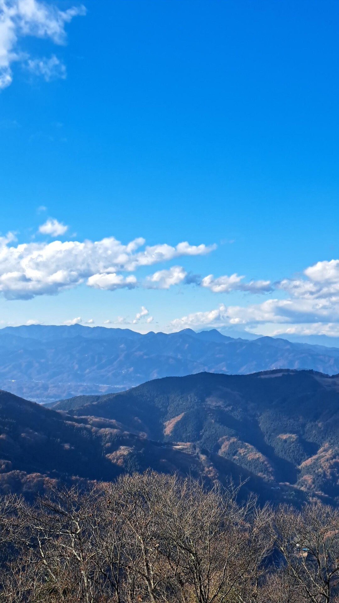 堂平山・笠山(西峰)(乳房山) / str_0307さんの堂平山・笠山（乳房山）・大霧山の活動データ | YAMAP / ヤマップ