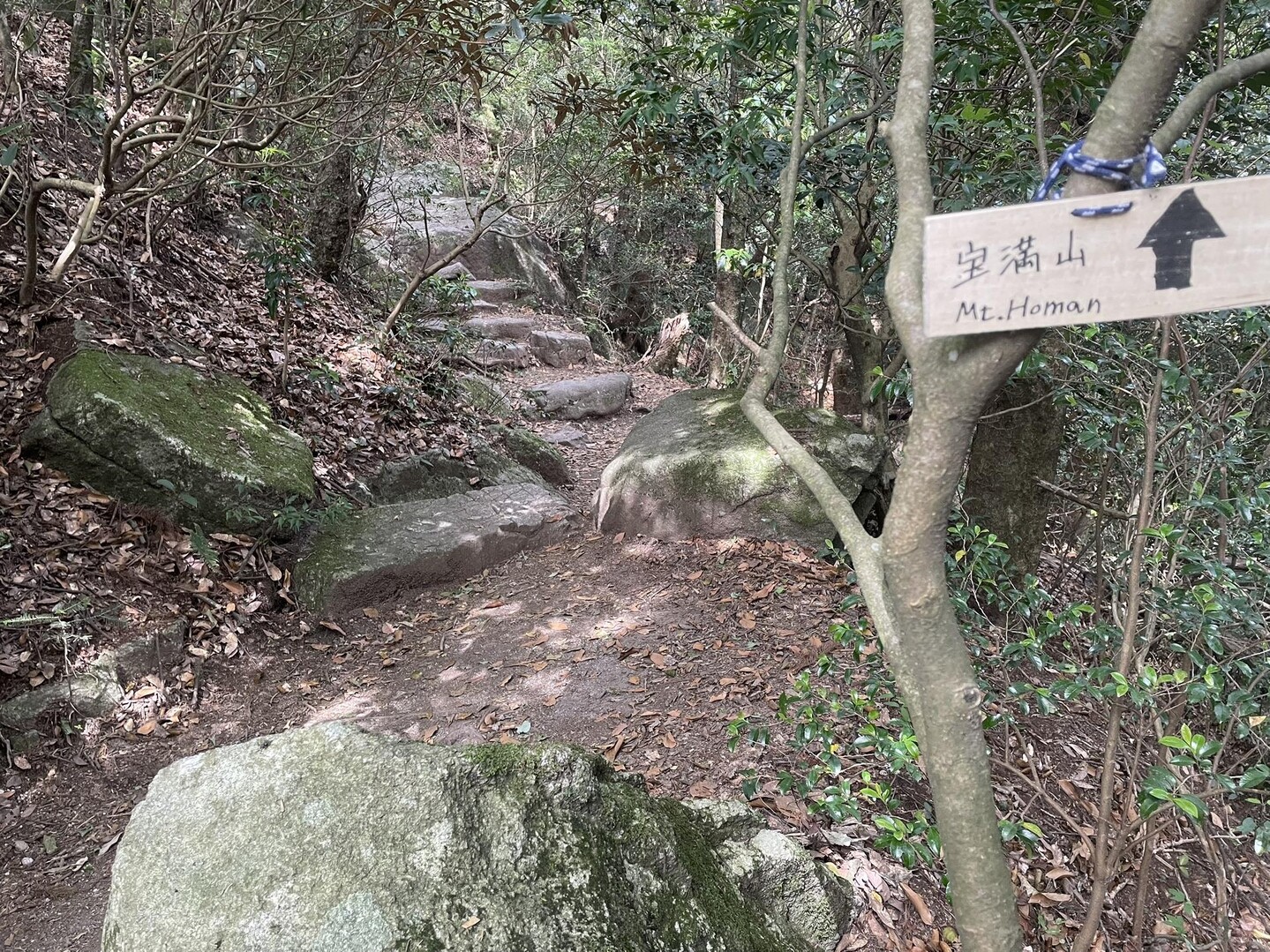 リハビリ明けの宝満山(下りは行者道) / daikiboさんの宝満山・三郡山・若杉山の活動データ | YAMAP / ヤマップ