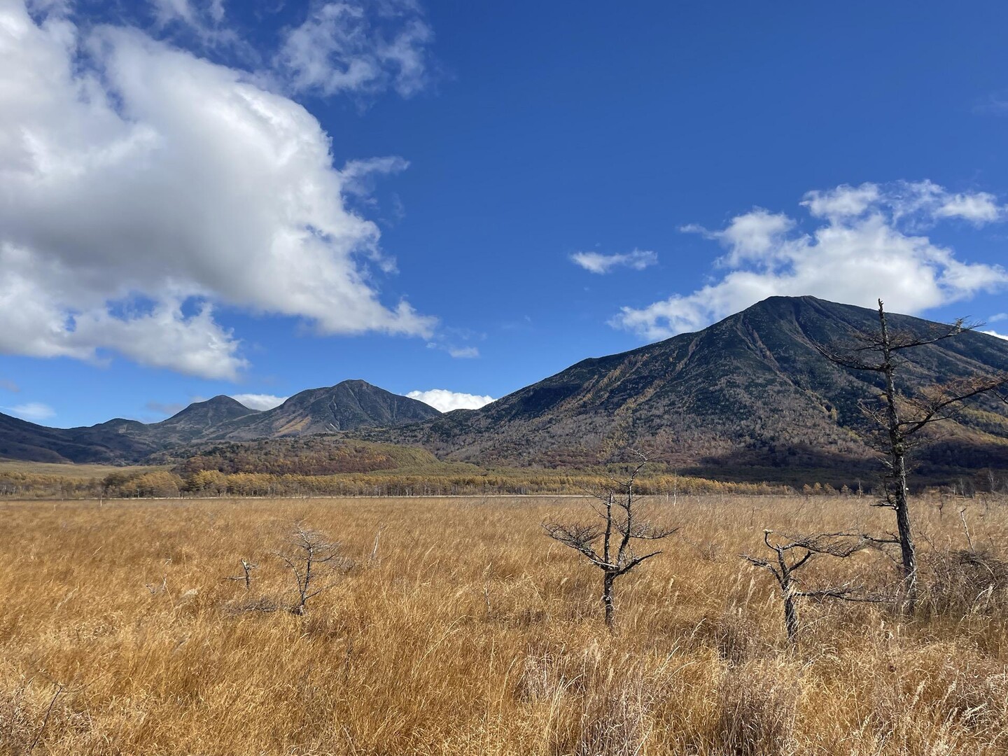 SOLO 湯の湖ー小田代ー赤沼ー湯の湖 / yuka さんの日光白根山・五色山・錫ヶ岳の活動データ | YAMAP / ヤマップ