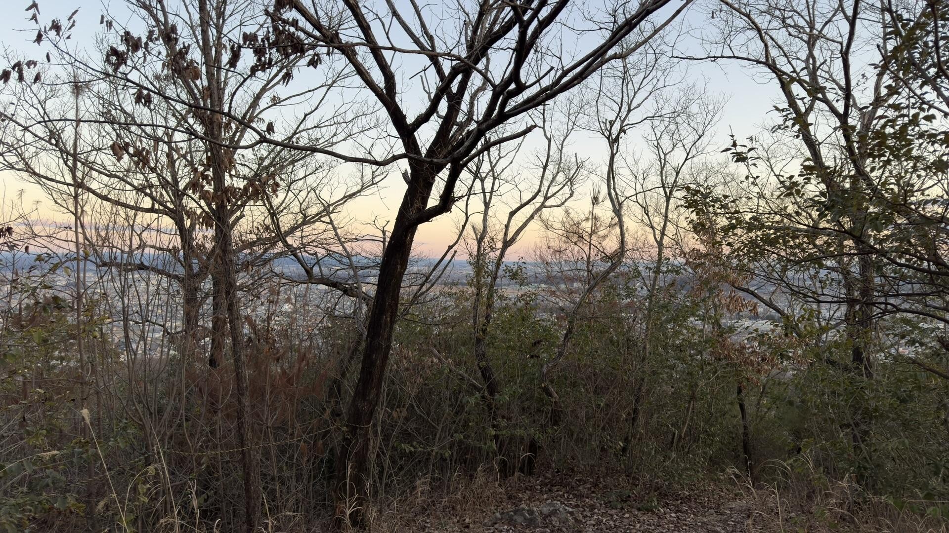 🚌→三峰山・権現山→🚌 / tatsuさんの金華山・洞山・舟伏山の活動データ | YAMAP / ヤマップ