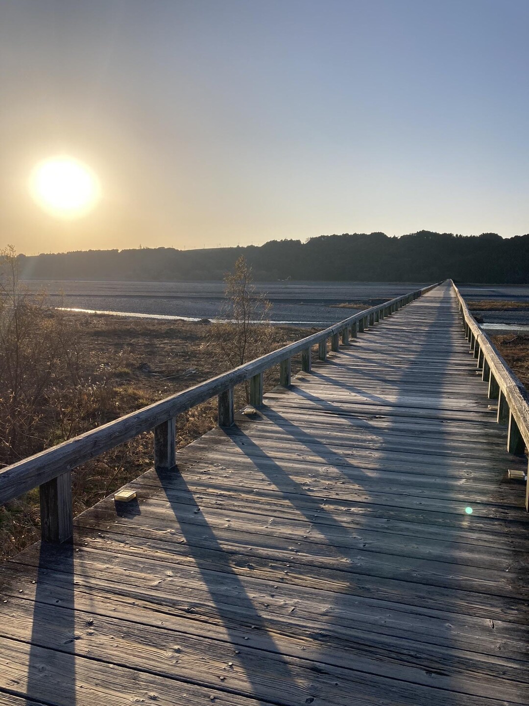 2度目の旧東海道-15日目 / Aokatiさんのウォーキングの活動データ | YAMAP / ヤマップ