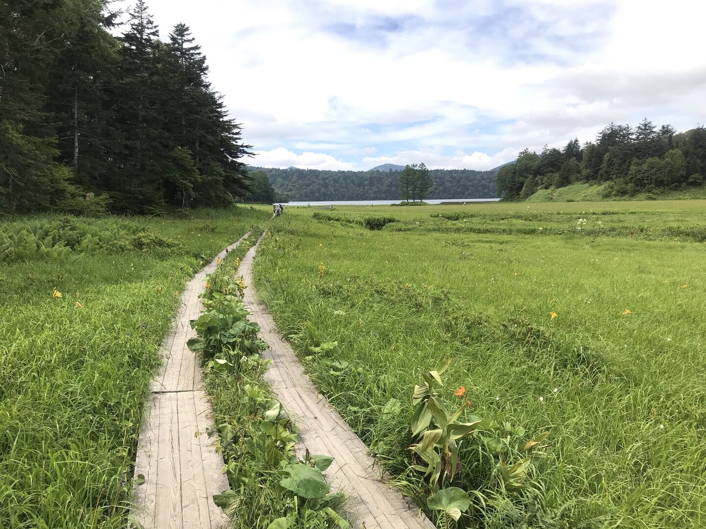 尾瀬・燧ヶ岳-2018-07-22 / モジャオさんの尾瀬・燧ヶ岳の活動データ | YAMAP / ヤマップ