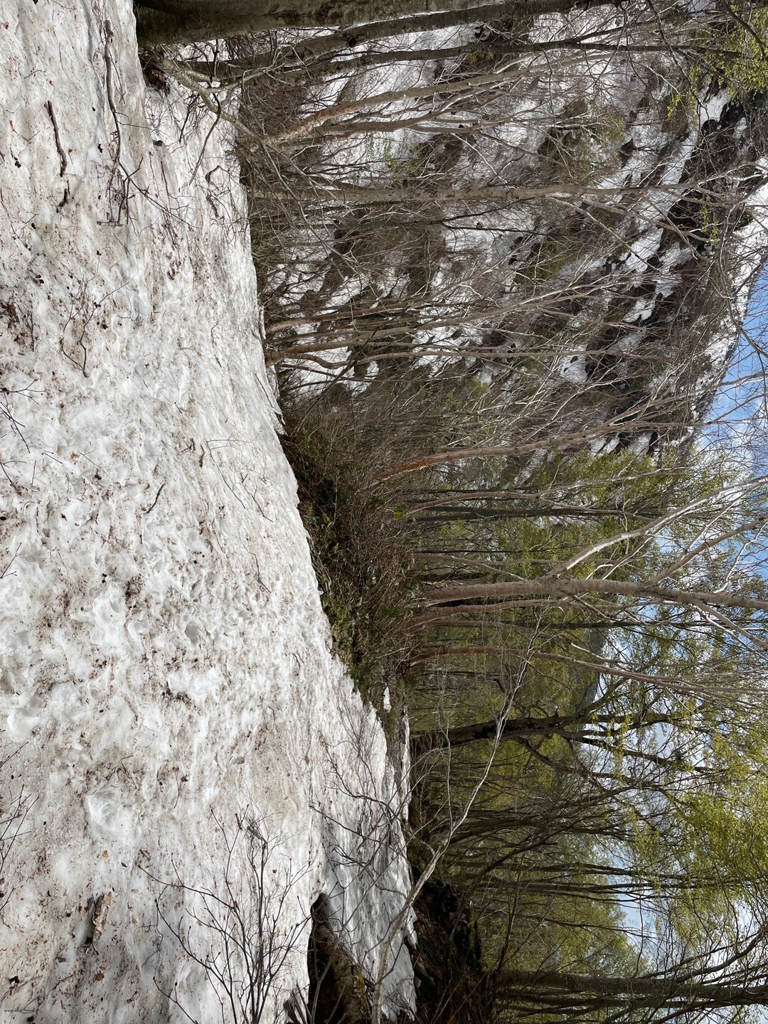 motoさんの投稿したフィールドメモ | YAMAP / ヤマップ