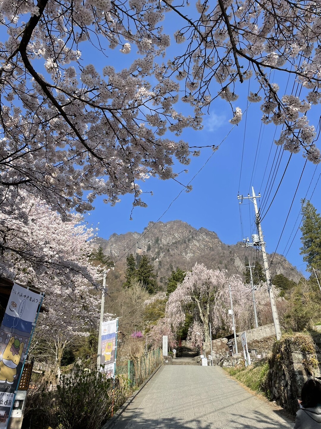 【妙義山】ギザギザドキドキギリギリ稜線歩き(´ д `+) / N☆B☆Jさんの妙義山・天狗岳・相馬岳の活動データ | YAMAP / ヤマップ