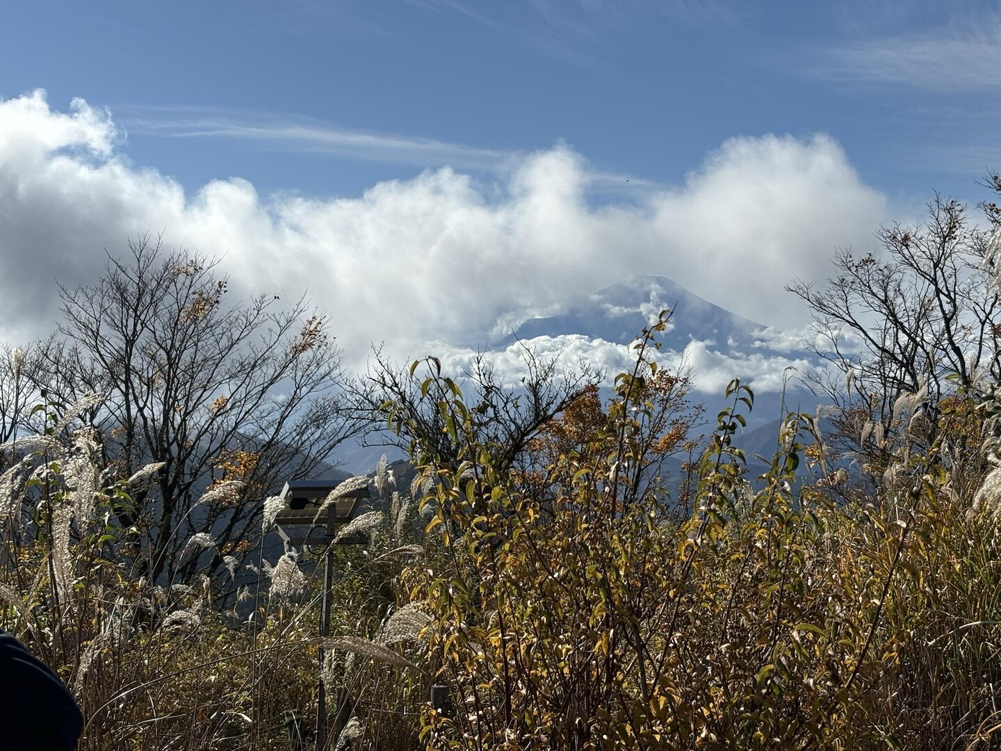 鍋割山 / fujitakさんの塔ノ岳・丹沢山・蛭ヶ岳の活動データ | YAMAP / ヤマップ