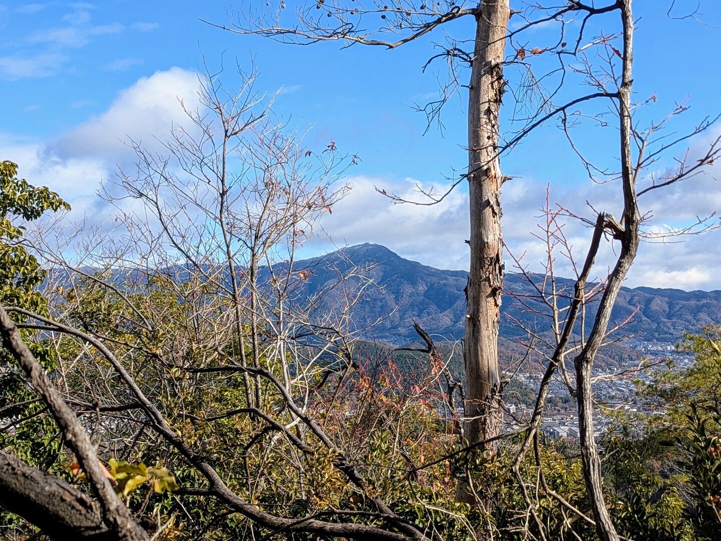 ⛩️京都の山🌝釈迦谷山 / "satoh"さんの十三石山・釈迦谷山・沢山の活動データ | YAMAP / ヤマップ