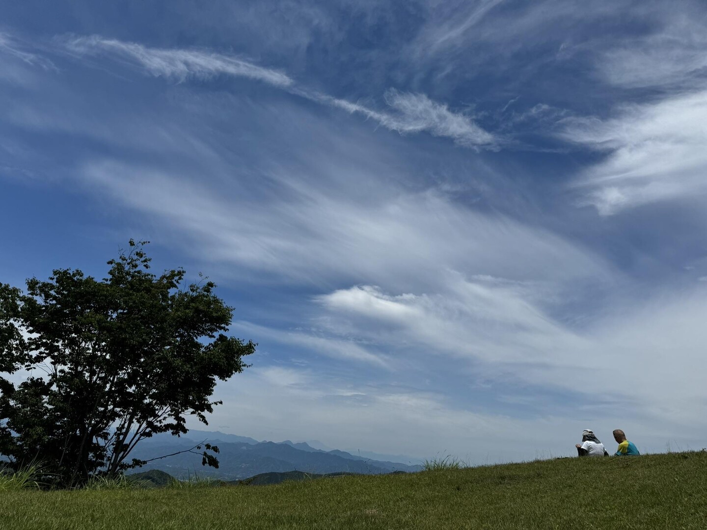 秩父ハイキング@笠山〜堂平山 / kinoさんの堂平山・笠山（乳房山）・大霧山の活動データ | YAMAP / ヤマップ