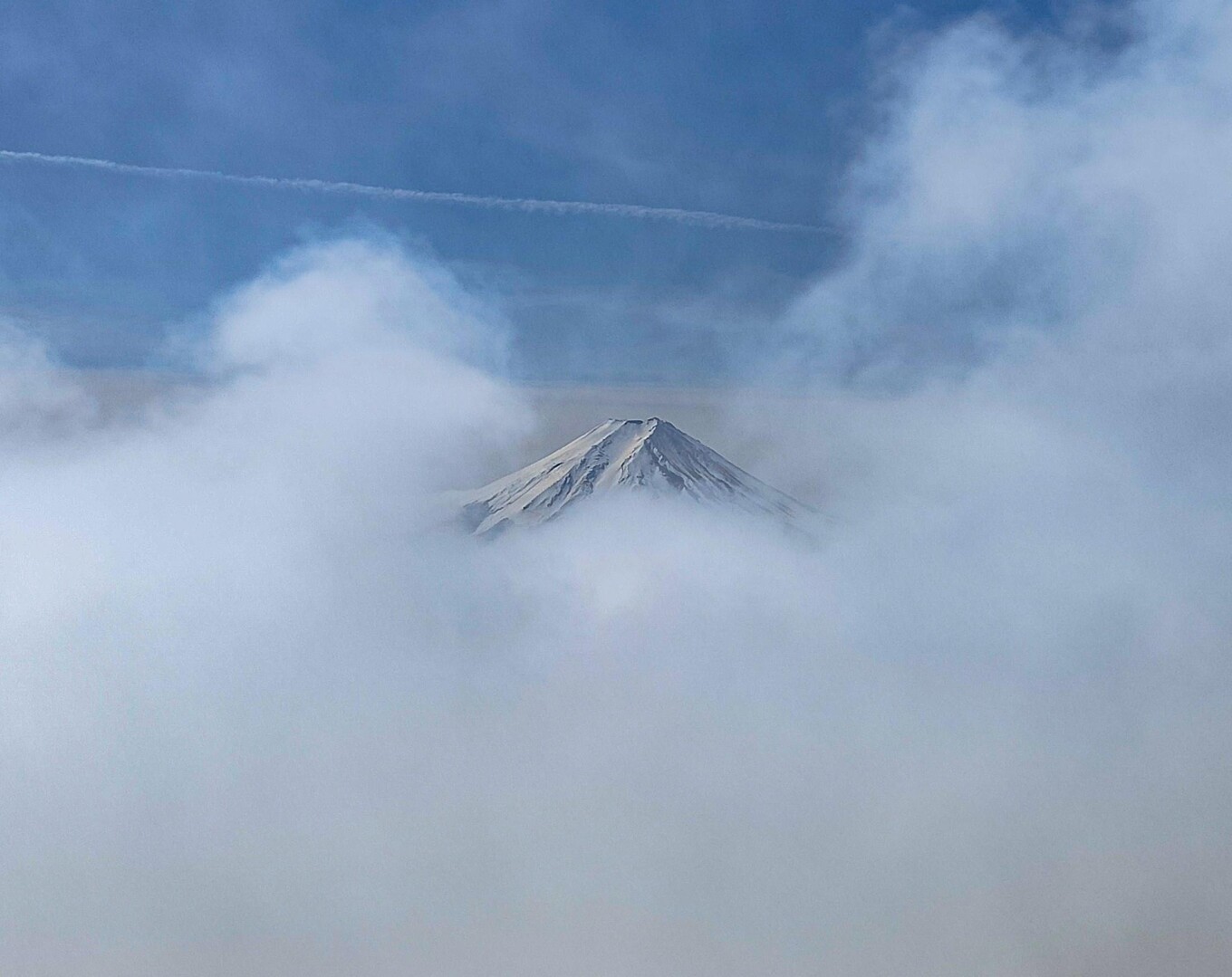 滝子山 / nobo1274さんの滝子山・大谷ヶ丸・笹子雁ヶ腹摺山の活動データ | YAMAP / ヤマップ