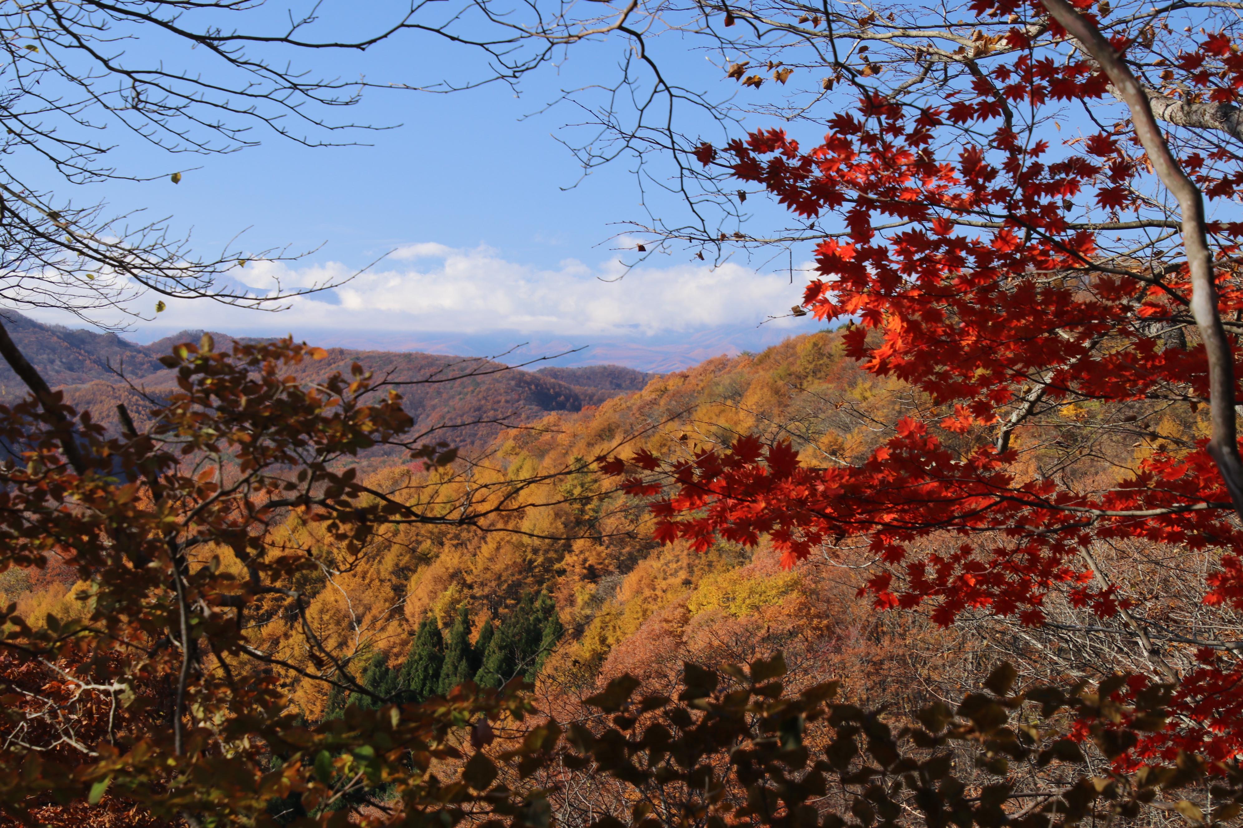 兜岩山 / Yutaさんの荒船山・物語山・大屋山の活動日記 | YAMAP / ヤマップ