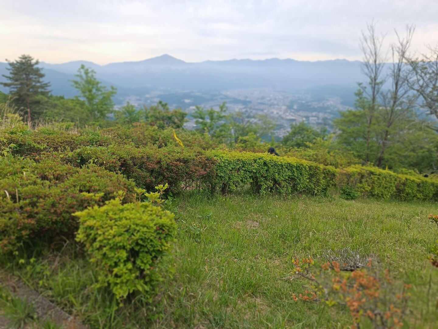 FTR皆野50【関東百名山：蓑山】 / たー♪さんの簑山の活動データ | YAMAP / ヤマップ