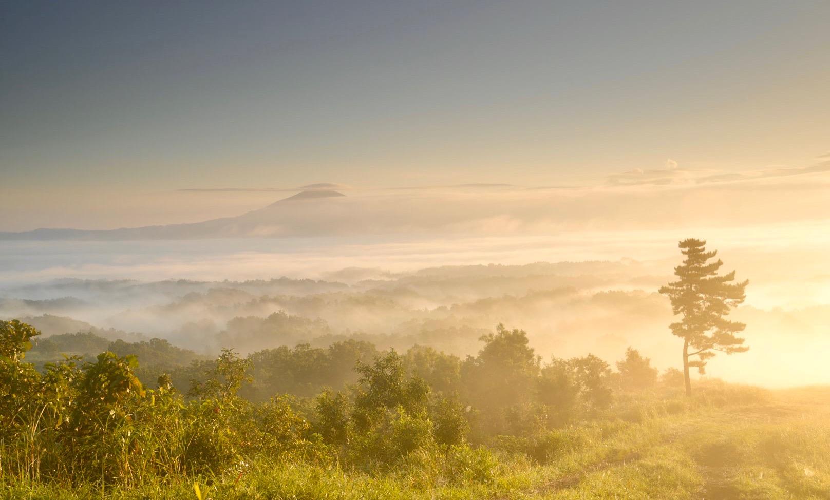 押戸石の丘とヒゴダイ公園 / ゆいさんの草原の村・うぶやまトレッキング 山吹水源と扇棚田コースの活動データ | YAMAP / ヤマップ