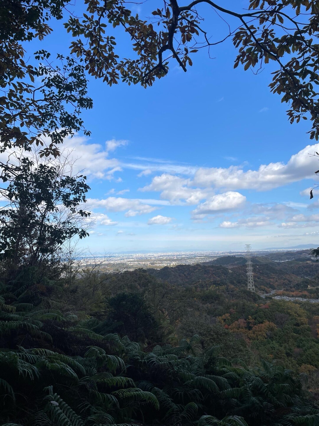 雨山-2024-12-07 / mayumikoさんの雨山の活動データ | YAMAP / ヤマップ