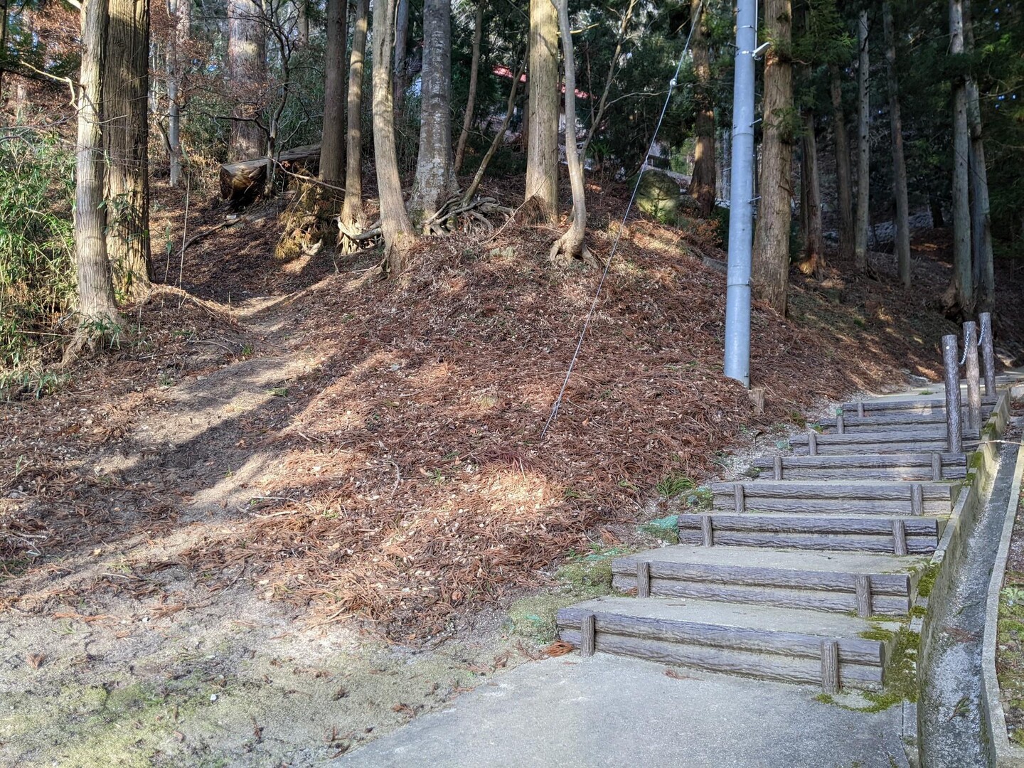 saiさんの投稿したフィールドメモ | YAMAP / ヤマップ