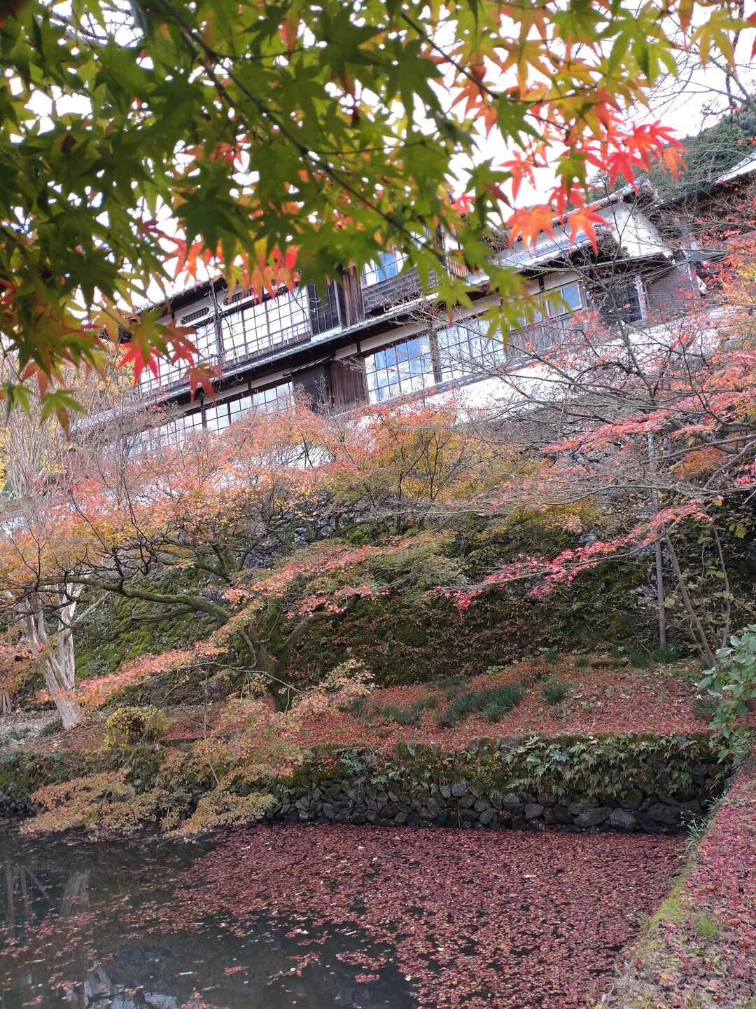 瑞應寺ヘ Mikityさんの後追いした... / はなさんのモーメント | YAMAP / ヤマップ