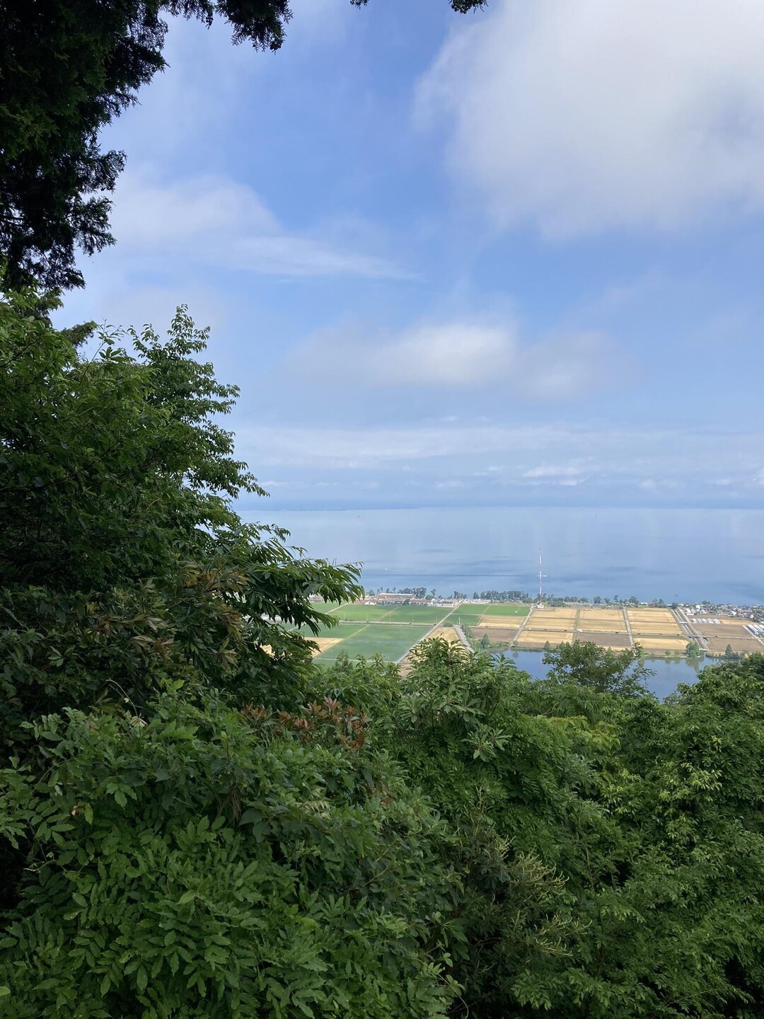 山歩 荒神山 昨夜の雨で緑あざやかイキ... / AOさんのモーメント | YAMAP / ヤマップ