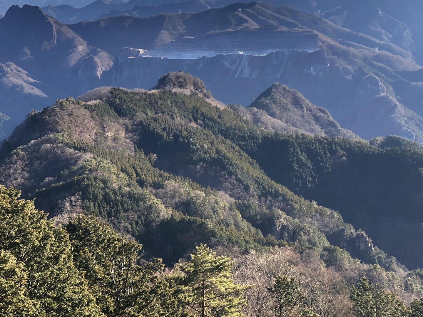 サスの峰 1174m / necomaru Xさんの赤久縄山・白髪岩・稲含山の活動データ | YAMAP / ヤマップ