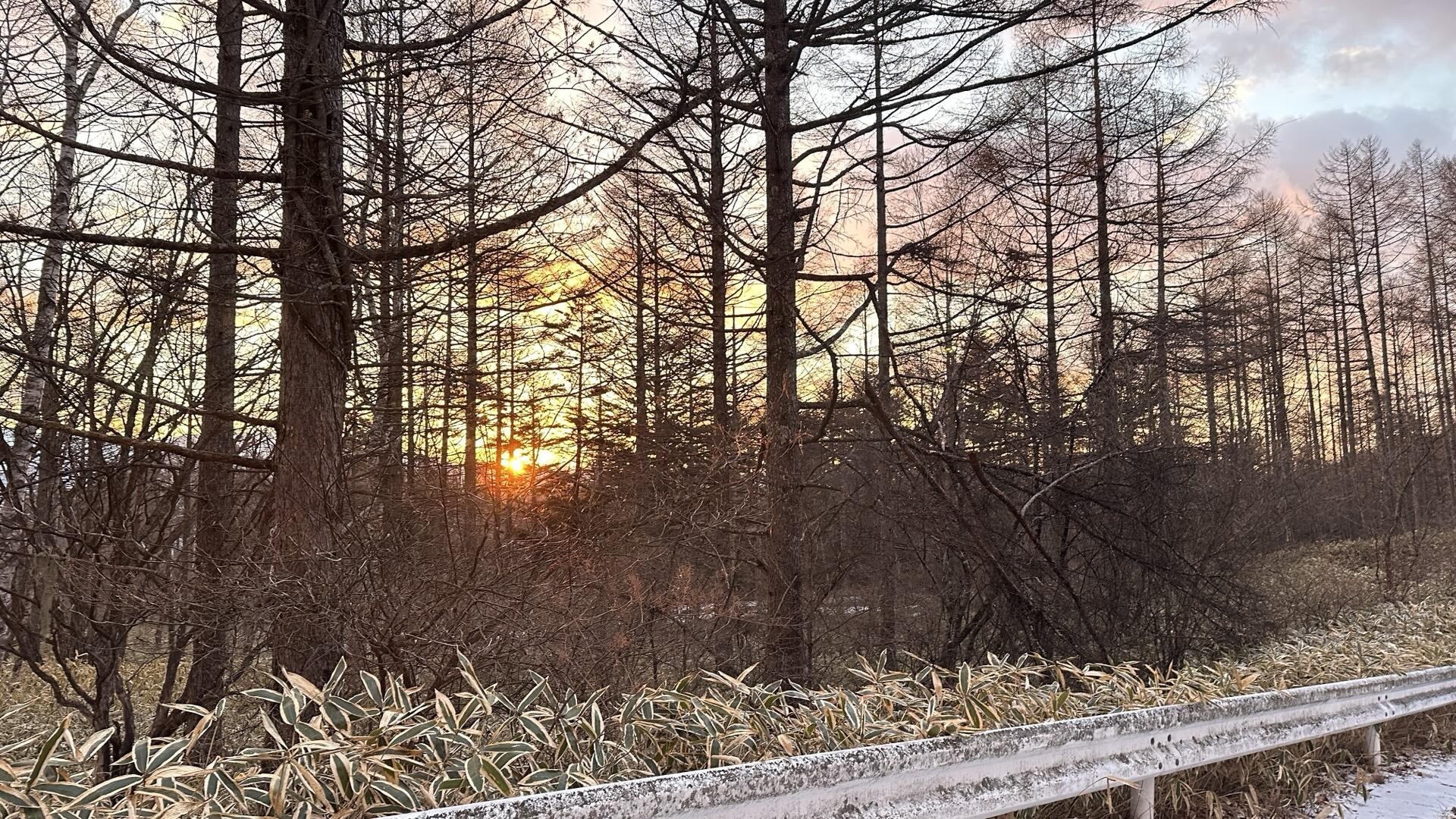 前三ッ頭 / yamalamaさんの八ヶ岳（赤岳・硫黄岳・天狗岳）の活動データ | YAMAP / ヤマップ