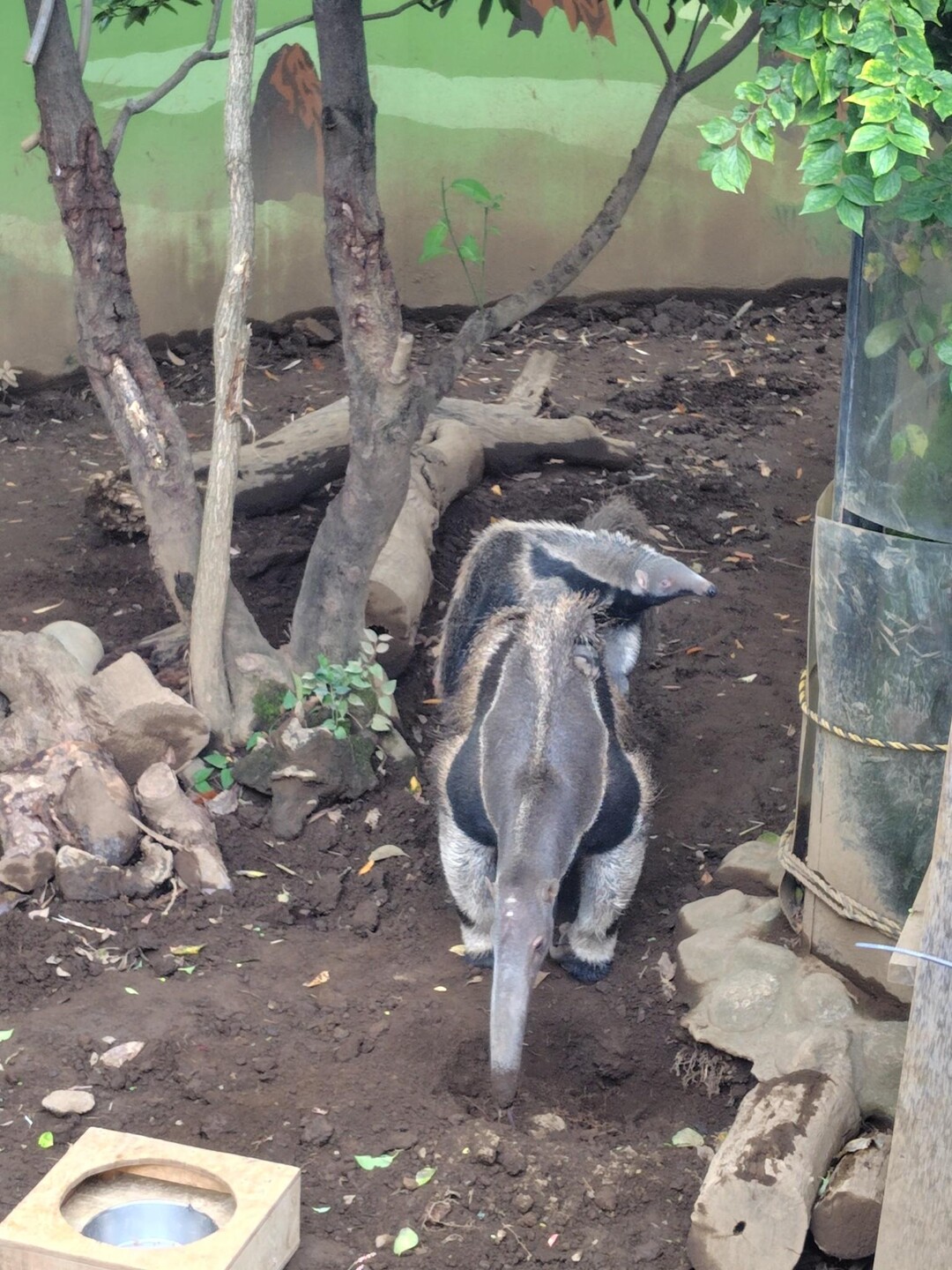 自転車で10分ほどの コンパクトな区の動... / mtkumiさんのモーメント | YAMAP / ヤマップ