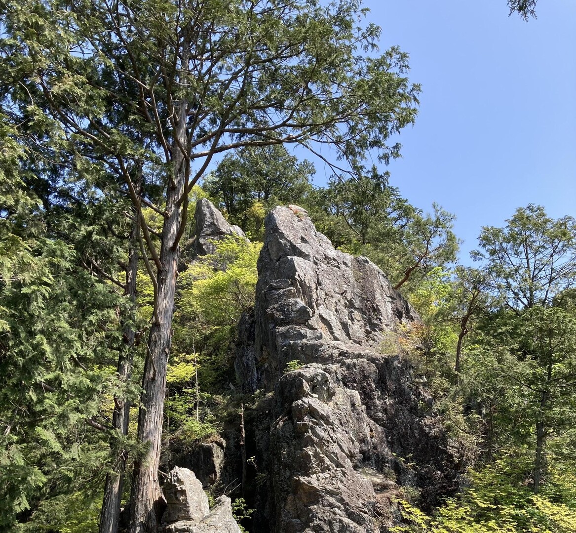 古賀志山 / min maさんの古賀志山・赤岩山・鞍掛山・男抱山・半蔵山の活動データ | YAMAP / ヤマップ