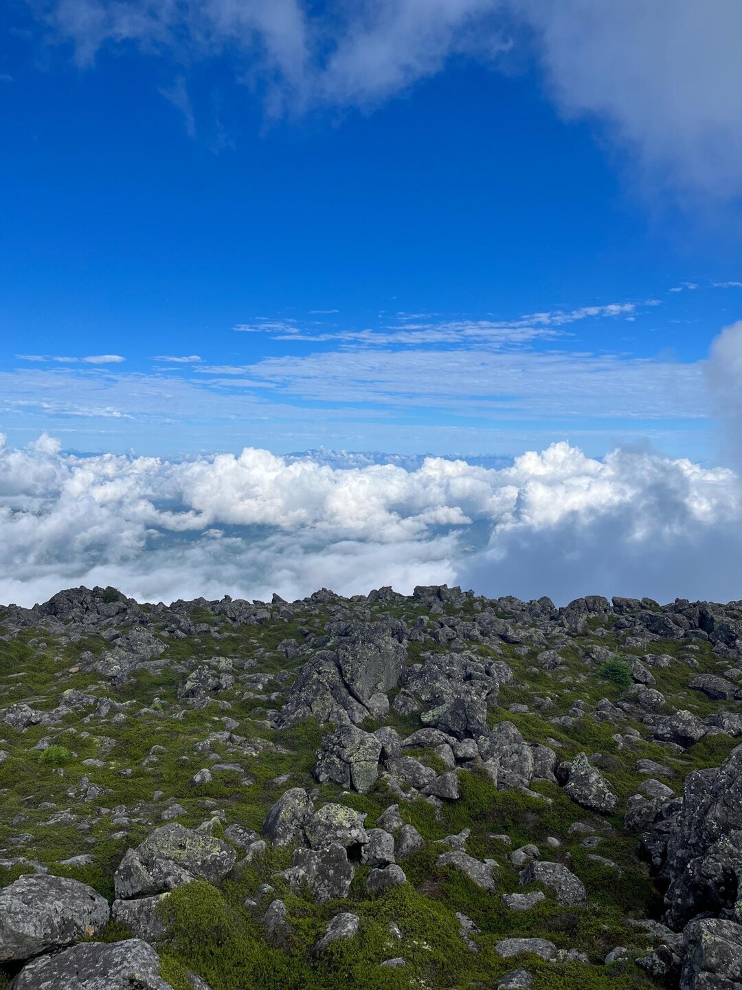 蓼科山・前掛山 / Emilyさんの蓼科山・横岳・縞枯山の活動データ | YAMAP / ヤマップ