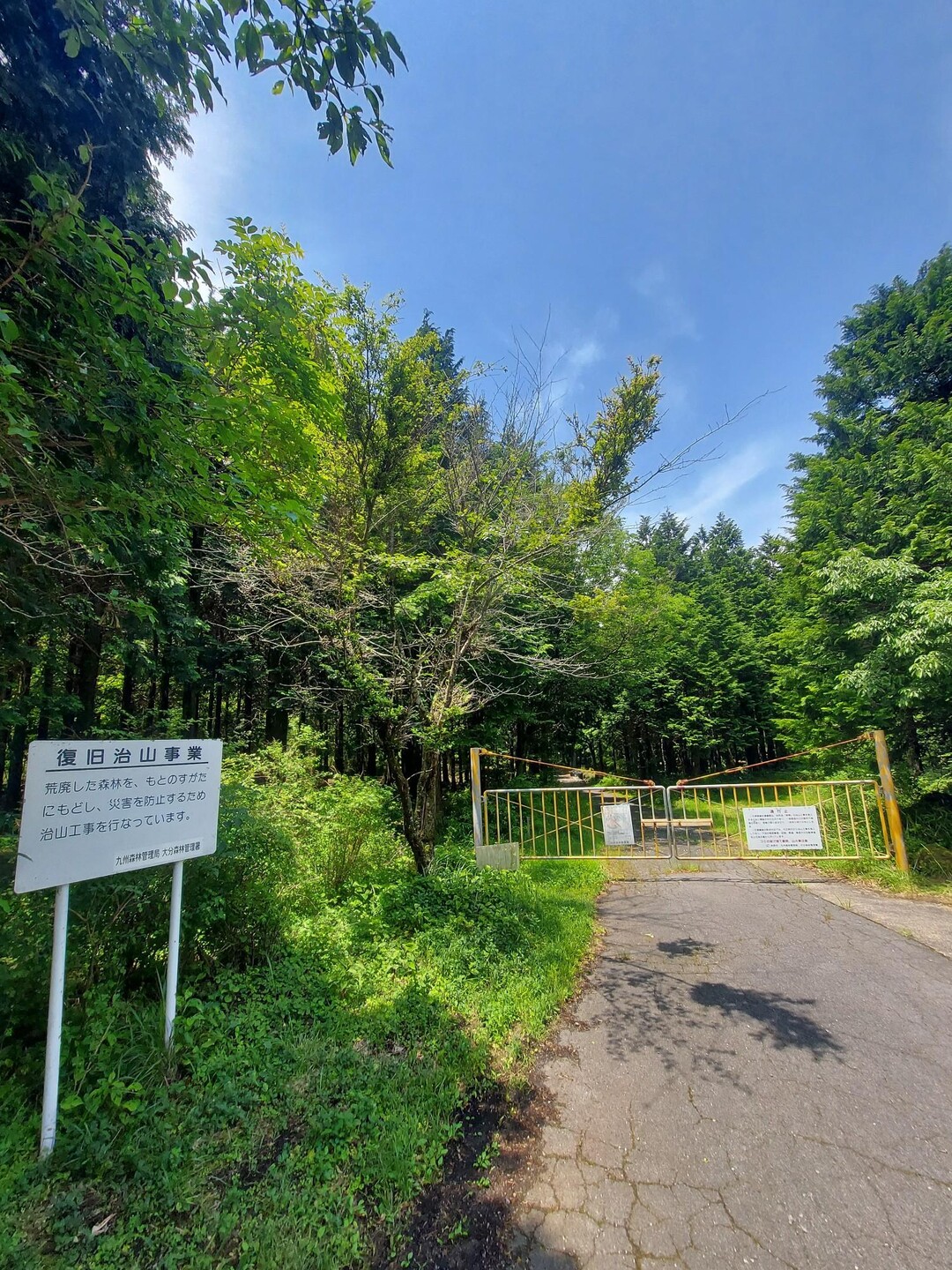 Jasperさんの投稿したフィールドメモ | YAMAP / ヤマップ