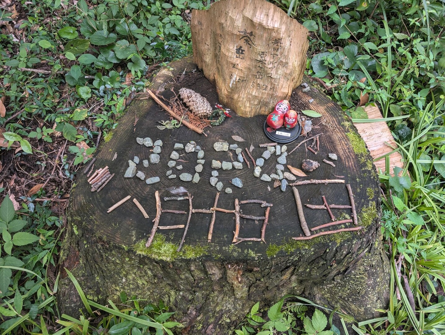 うろちょろ粟ヶ岳 / Te ruさんの粟ヶ岳の活動データ | YAMAP / ヤマップ