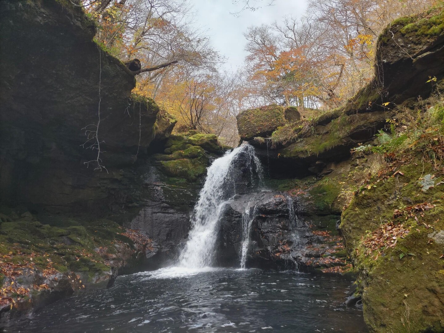 drumscoのページ | YAMAP / ヤマップ