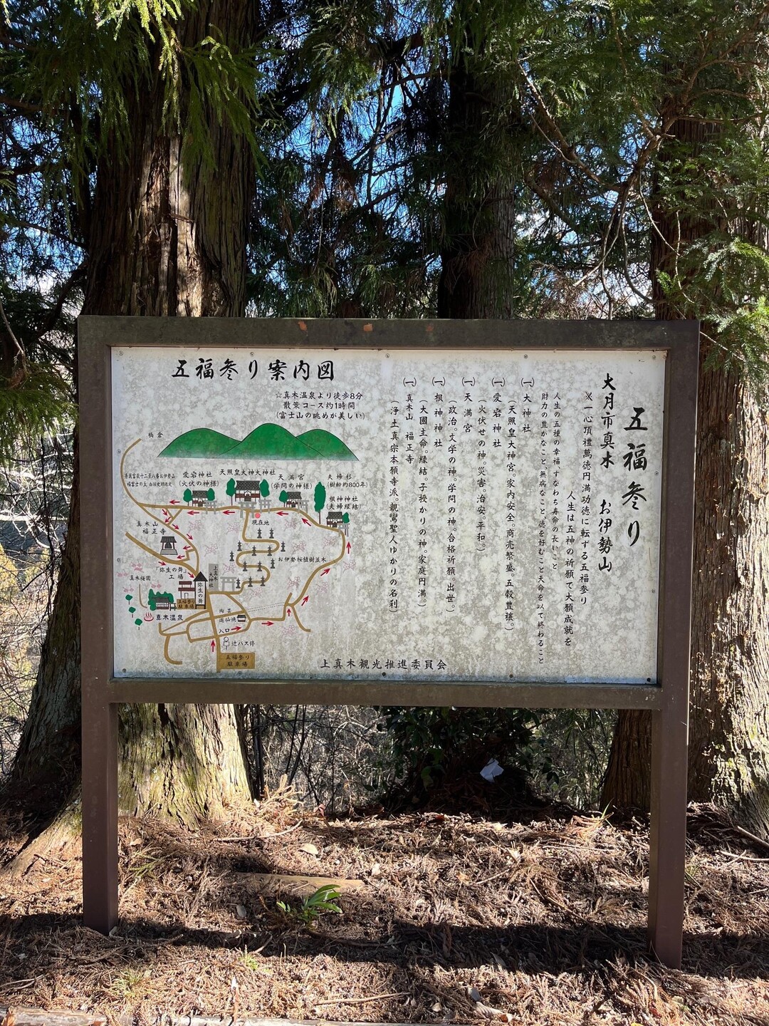 お伊勢山 / konyan さんの滝子山・大谷ヶ丸・笹子雁ヶ腹摺山の活動データ | YAMAP / ヤマップ