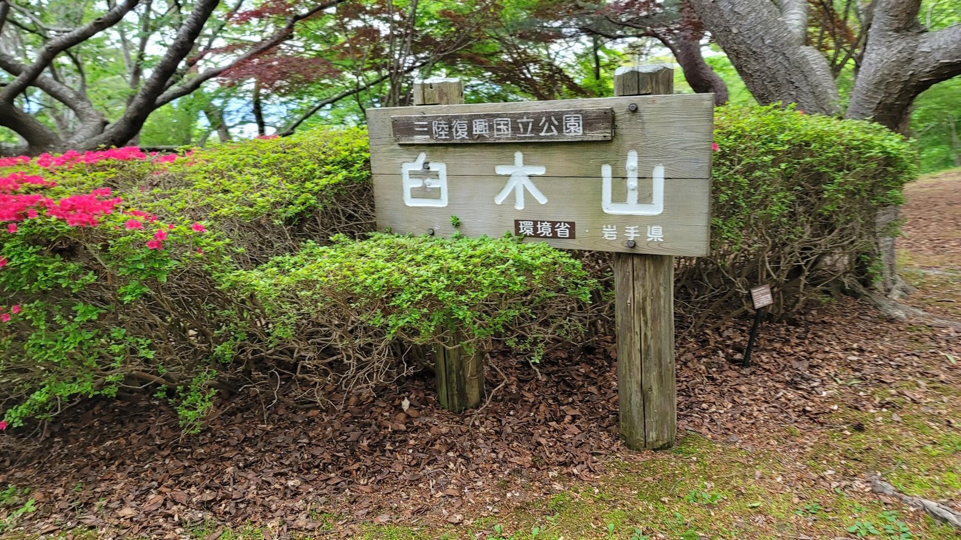 5.5 臼木山 / koke🌿さんの月山の活動データ | YAMAP / ヤマップ