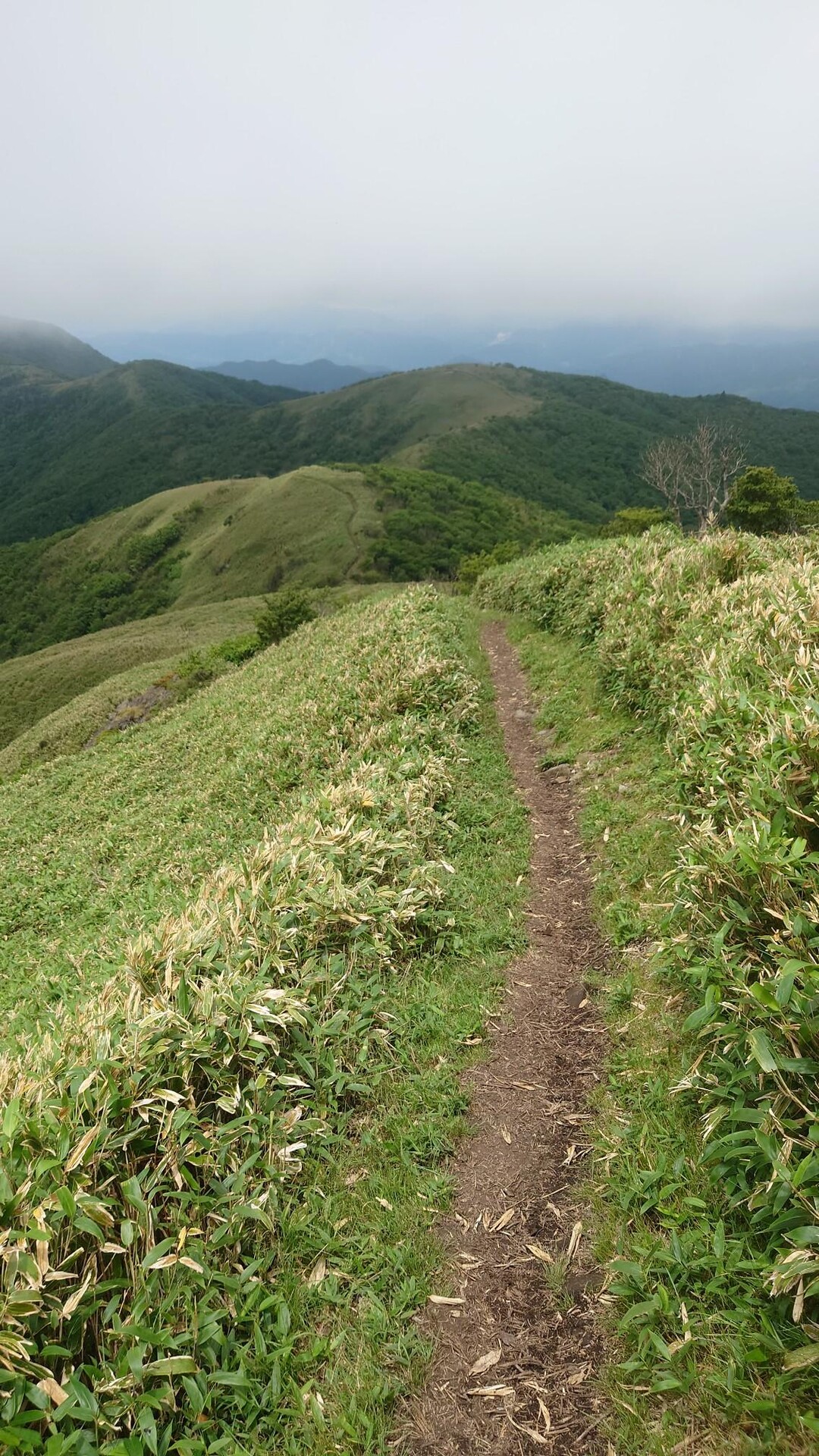 blackmoreさんの投稿したフィールドメモ | YAMAP / ヤマップ