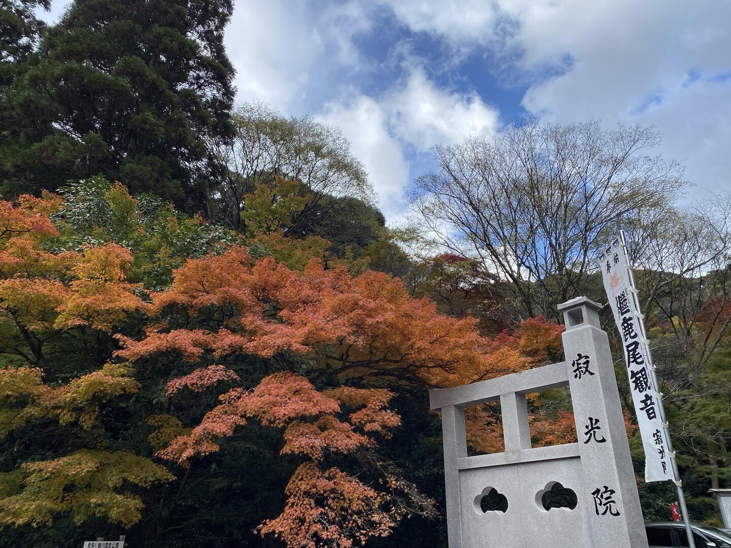 継鹿尾山 / mochiさんの鳩吹山の活動データ | YAMAP / ヤマップ