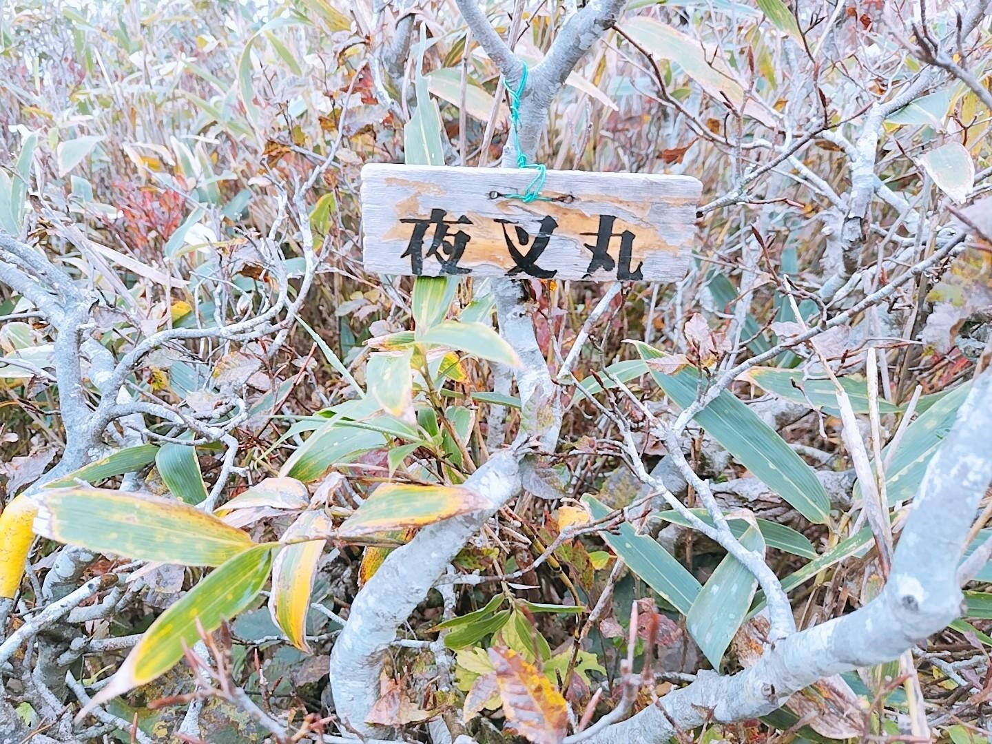 夜叉丸 / Kinuさんの夜叉ヶ池山・三周ヶ岳の活動データ | YAMAP / ヤマップ