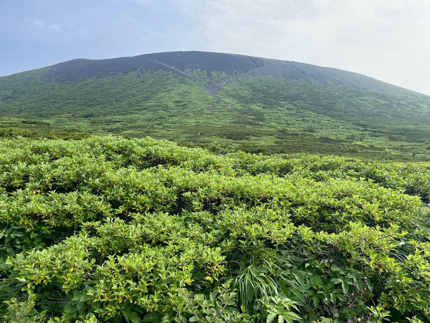 岩手山 宮沢賢治が通った山を訪ねて / ota660さんの岩手山・黒倉山・鞍掛山の活動データ | YAMAP / ヤマップ