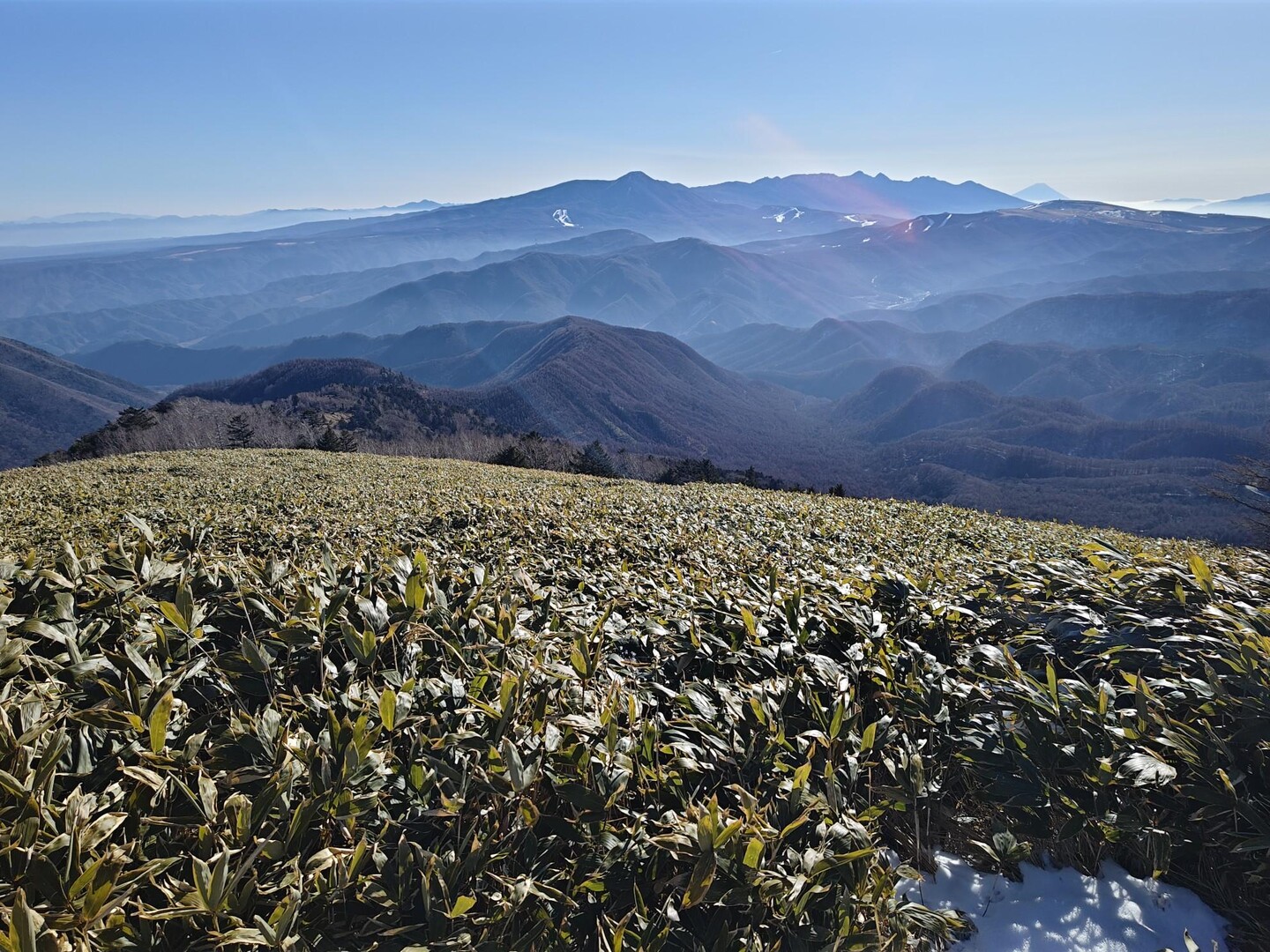 松本駅から美ヶ原 / yakeyakeさんの鉢伏山・高ボッチ山・三峰山の活動データ | YAMAP / ヤマップ