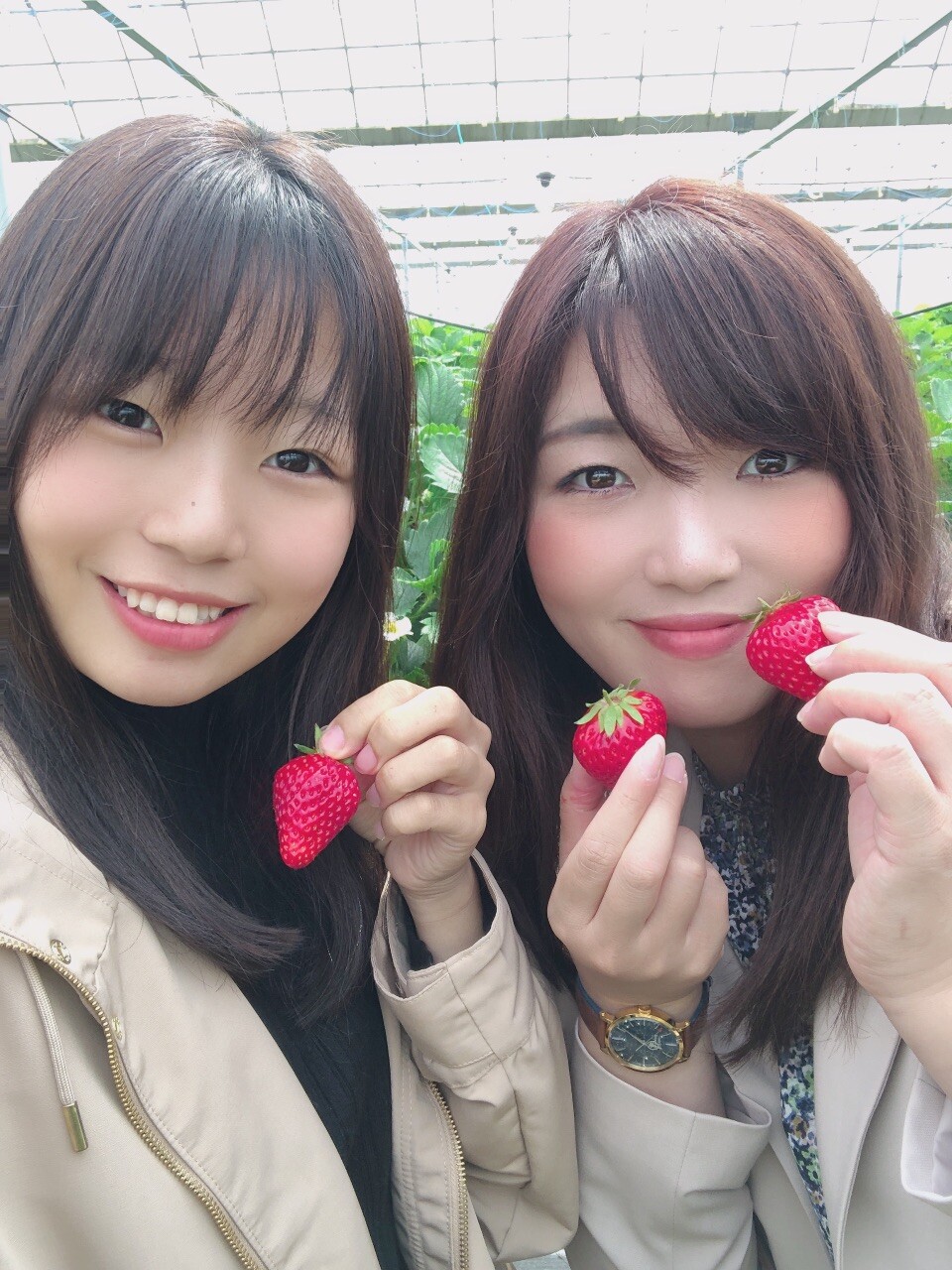 SATOMIのページ | YAMAP / ヤマップ