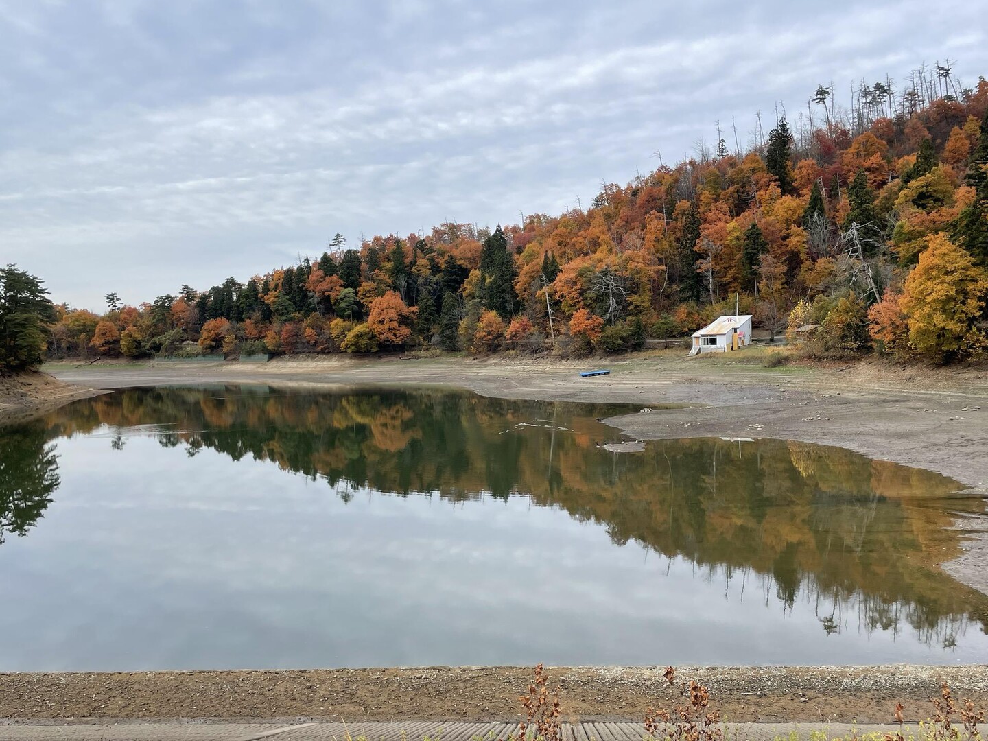 深冷の候の山行🍁鷹返山（360m）・楯山（210m）・中楯山（209.8m）東楯山（233m） / momoさんの甑岳・楯山の活動データ | YAMAP / ヤマップ