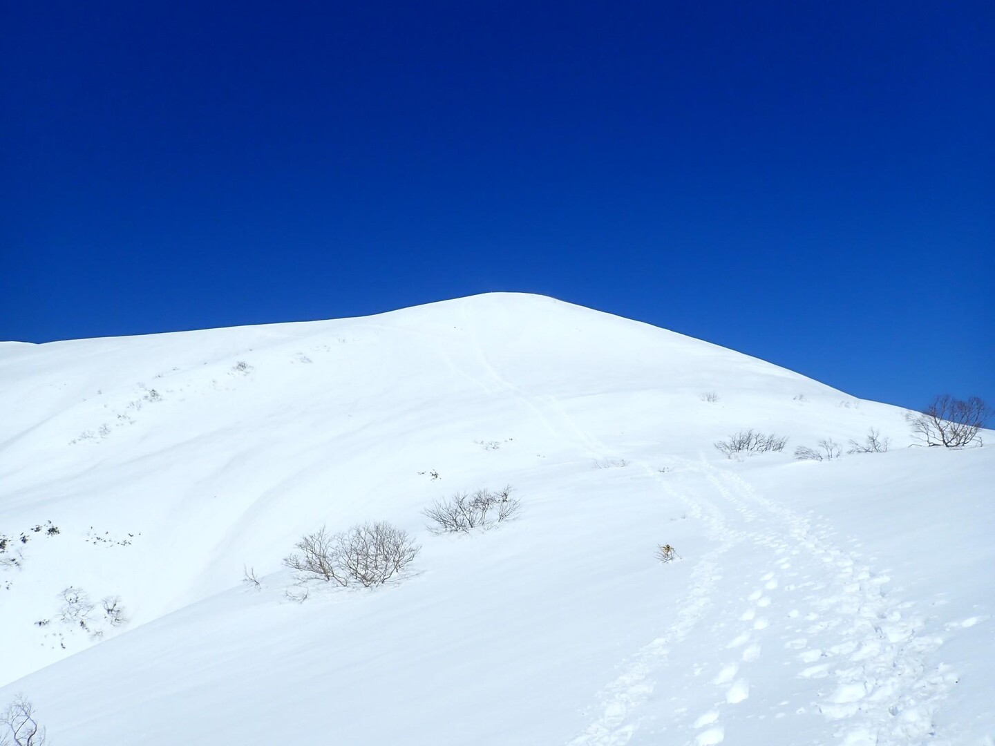 能郷白山 春山JOY / ぱんたにんさんの能郷白山の活動データ | YAMAP / ヤマップ