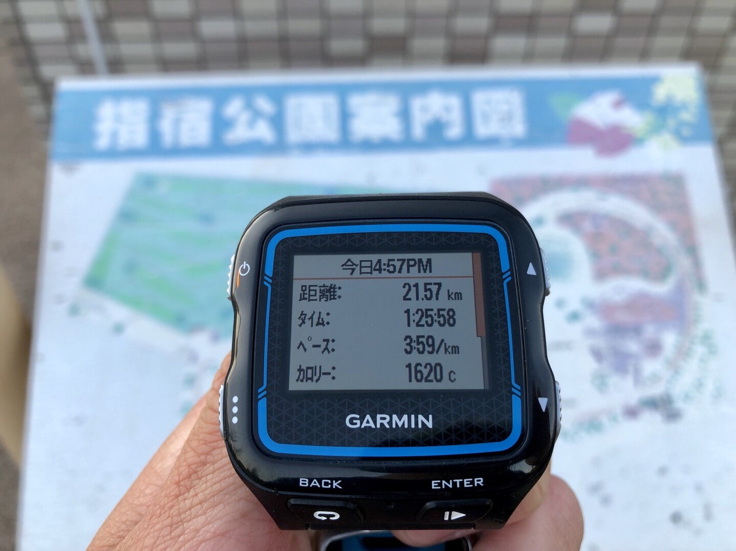 ひとりハーフマラソン(21.1km) / 島ちゃん(島.RC)🌈さんの千歳市の活動データ | YAMAP / ヤマップ