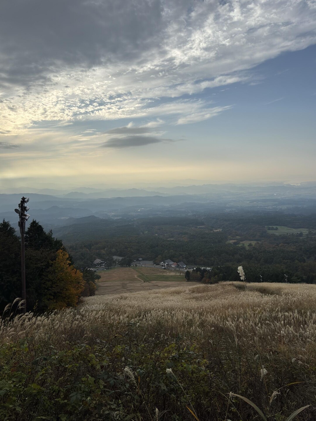 大山 横手道 Mr.Burgerまで / たかはしさんの大山・甲ヶ山・野田ヶ山の活動データ | YAMAP / ヤマップ