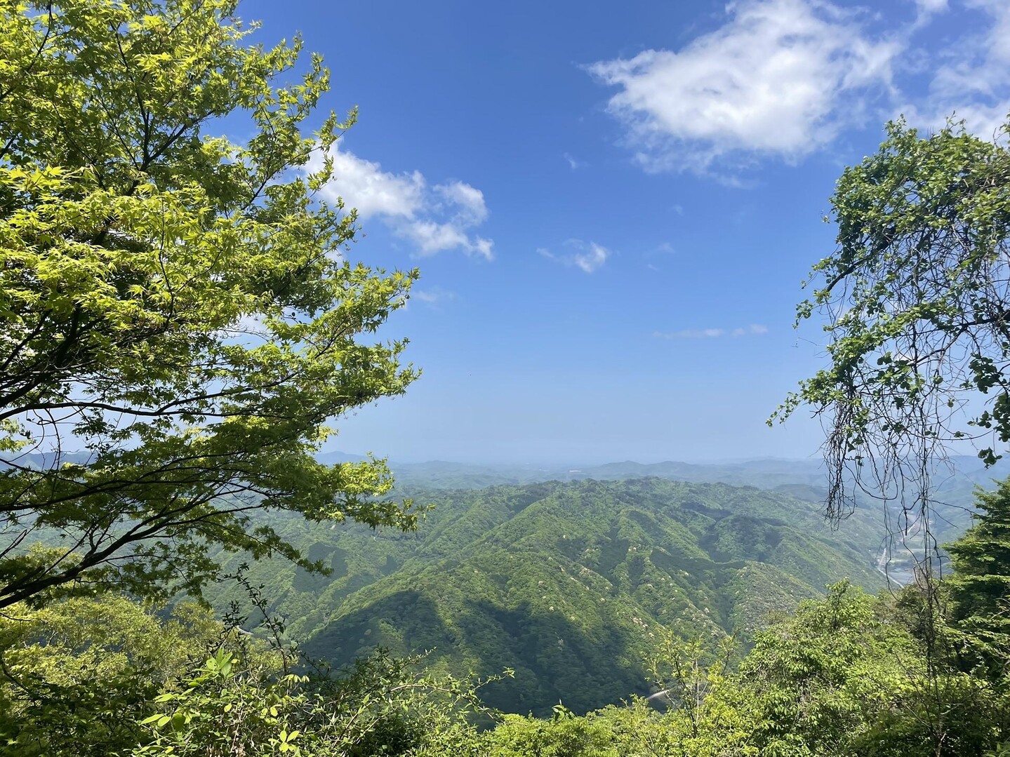 青野山 / aya_mt_s.15さんの青野山・奥山の活動データ | YAMAP / ヤマップ