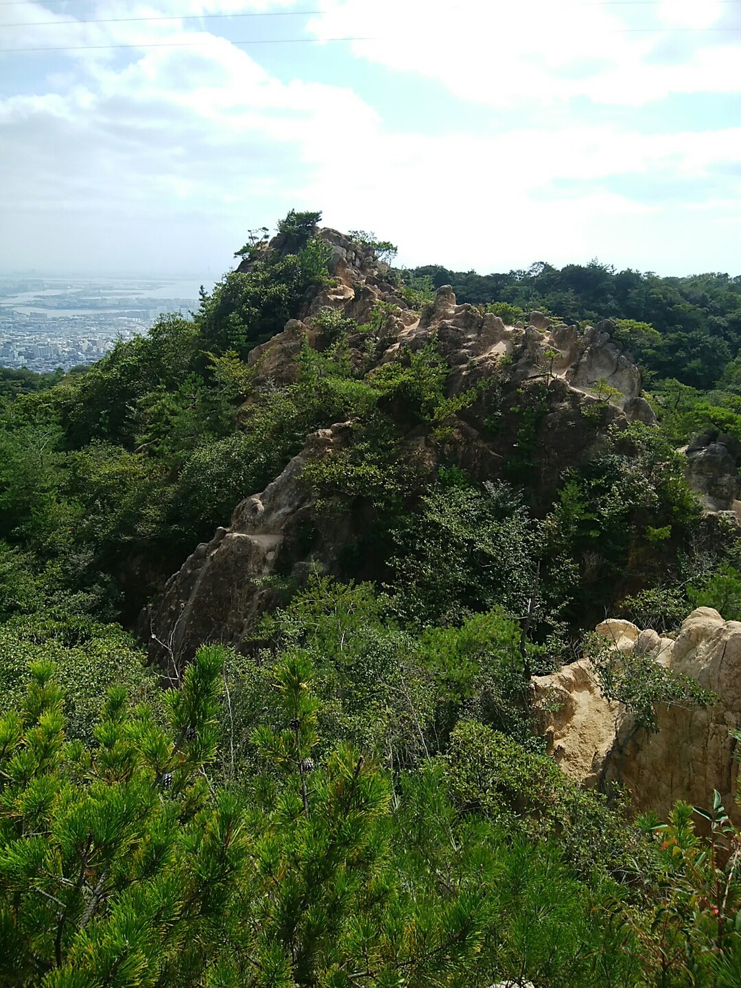 六甲山・長峰山・摩耶山-2019-10-05 / 姫ゆりさんの六甲山・長峰山・摩耶山の活動データ | YAMAP / ヤマップ