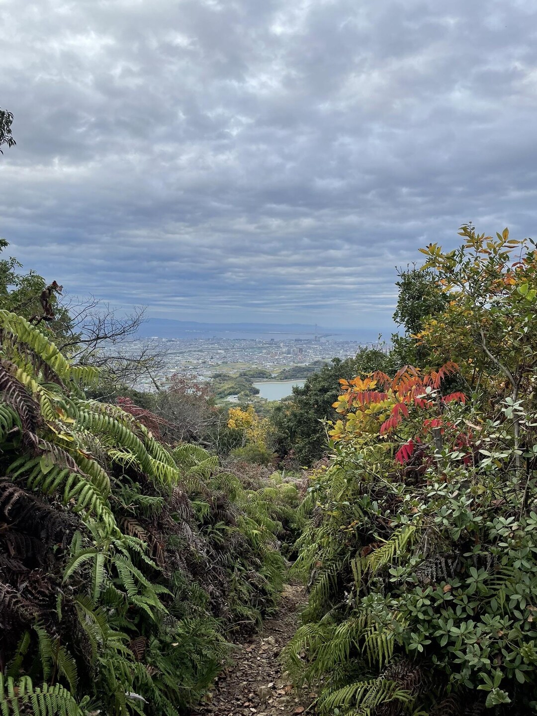 雨山 / saeさんの雨山の活動データ | YAMAP / ヤマップ