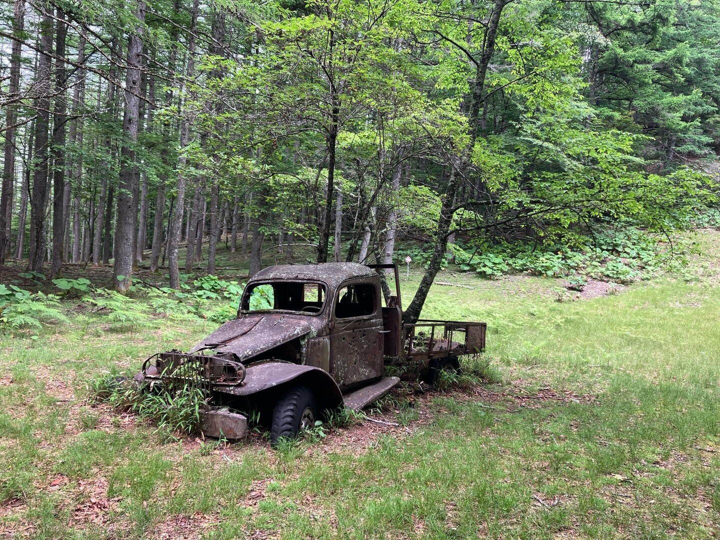 TGG（多摩川源流ぐるり） / kin29さんの和名倉山・笠取山・東仙波の活動データ | YAMAP / ヤマップ