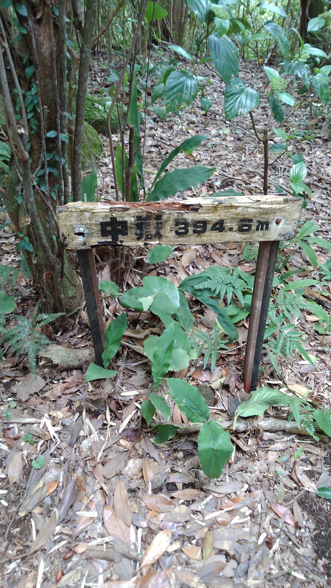 P325・中嶽・磯間嶽 / suzuranさんの磯間嶽の活動データ | YAMAP / ヤマップ