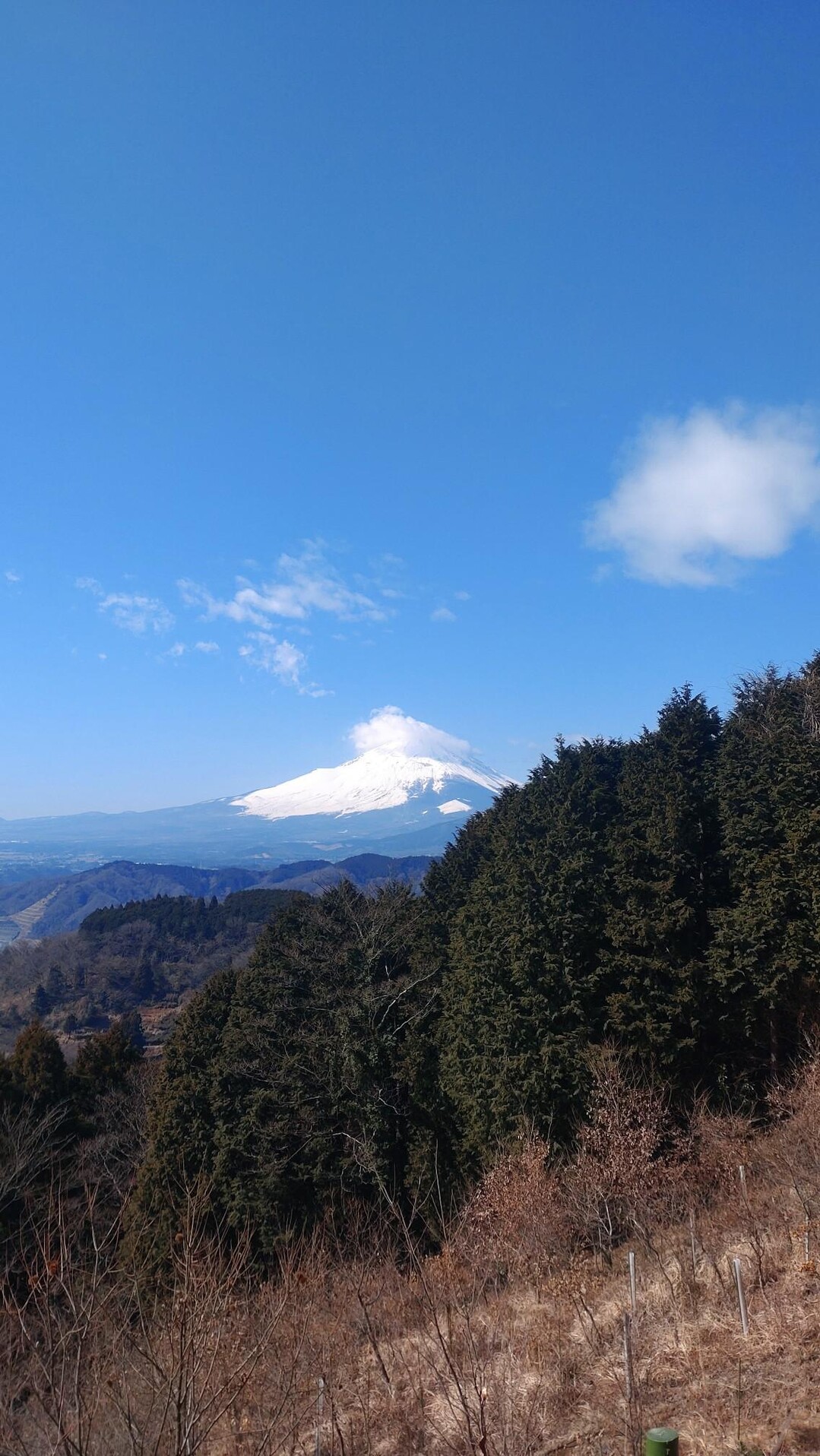 大野山・さくら山・つつじ山 / avanさんの高松山・大野山の活動データ | YAMAP / ヤマップ