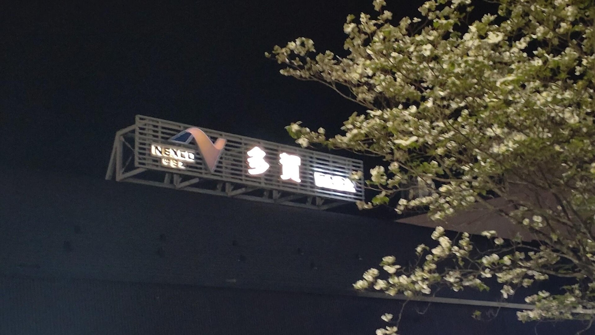 久しぶりに名神高速上り多賀SA お花はハ... / しんさんのモーメント | YAMAP / ヤマップ