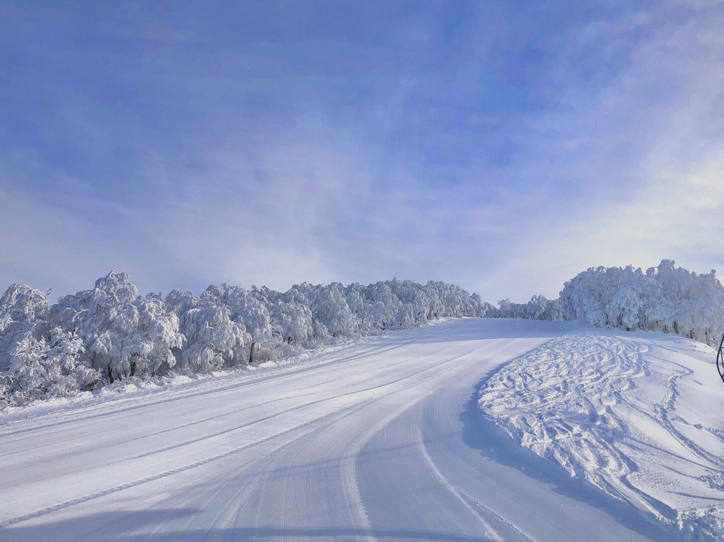 ジャム勝で初滑り⛷ / koko-yamaさんの経ヶ岳・法恩寺山の活動データ | YAMAP / ヤマップ