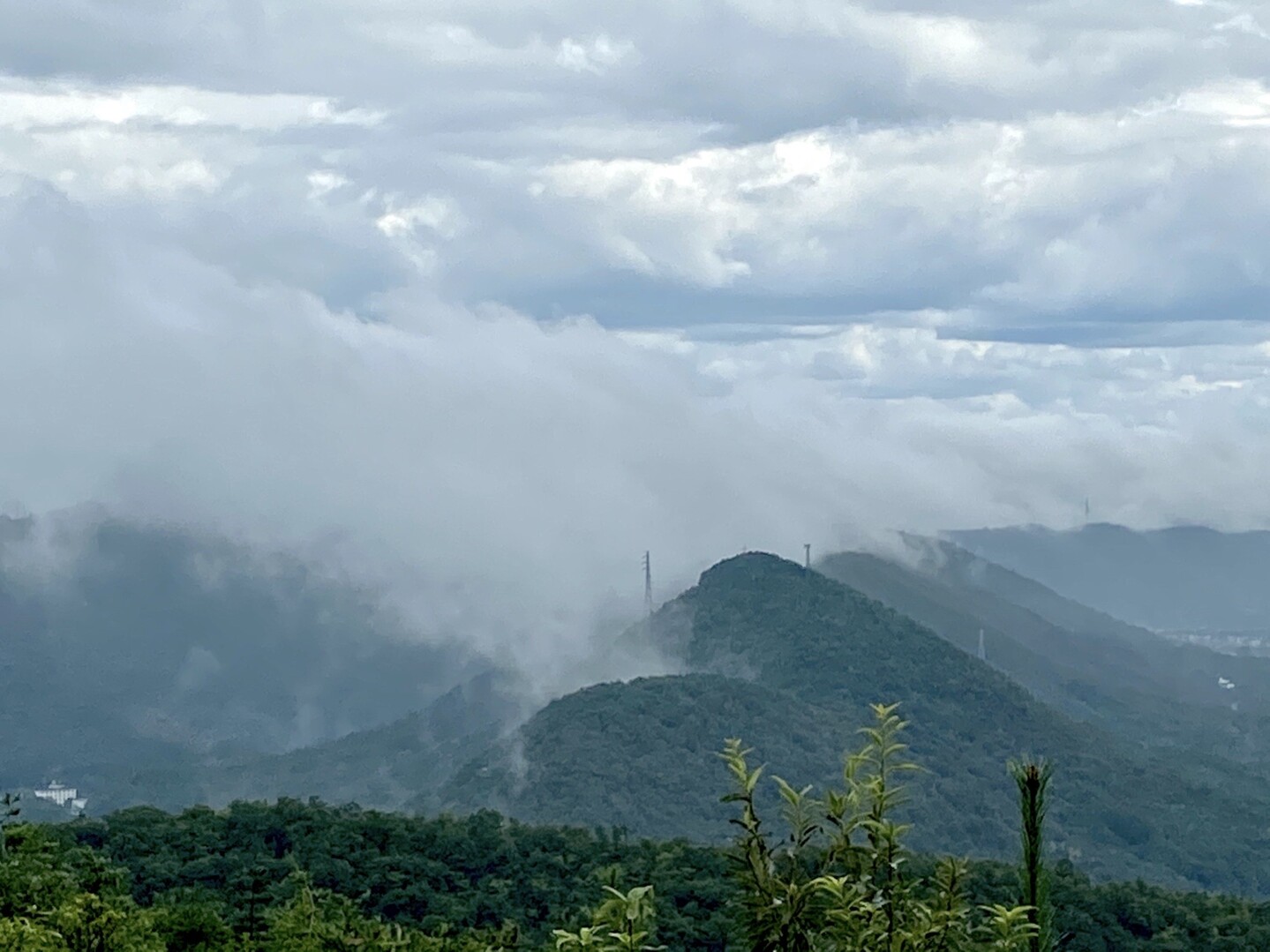 三峰山 雨山行 / Go_takさんの各務原アルプス・八木三山の活動データ | YAMAP / ヤマップ