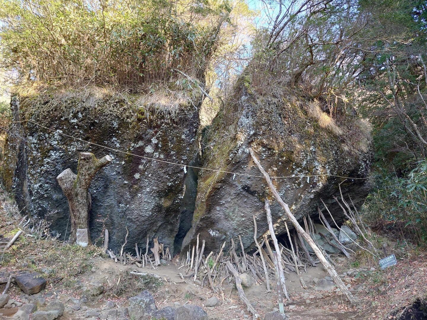 金時山〜箱根港 (ガイリーン1/3周) / Kazuhiroさんの金時山・明神ヶ岳の活動データ | YAMAP / ヤマップ