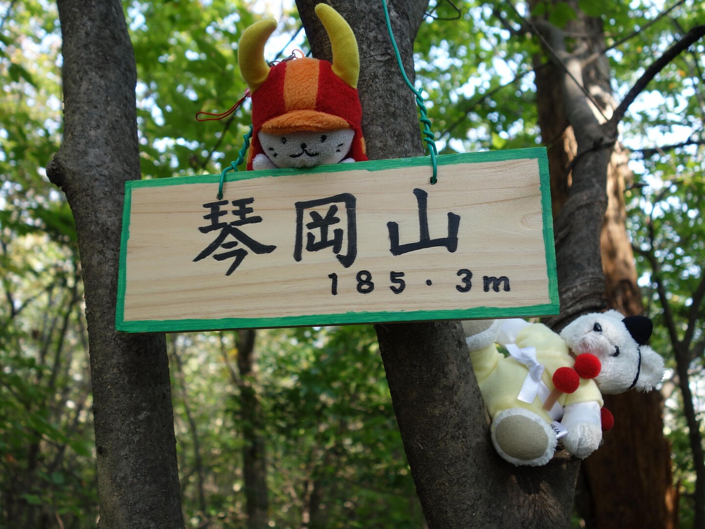 琴岡山はヤブ山だった。でも楽しい！（滋賀・米原市） / ココアさんのハイキングの活動データ | YAMAP / ヤマップ